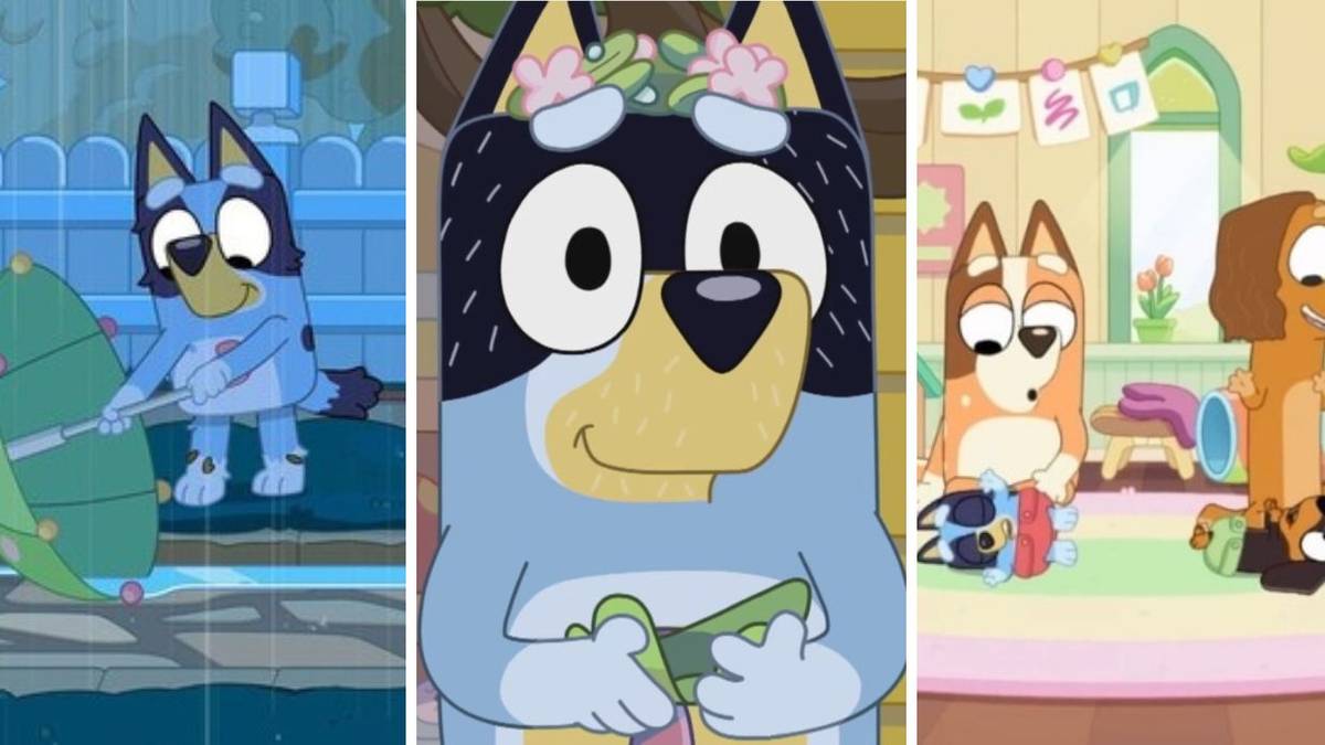 10 Best Bluey Episodes For Parents