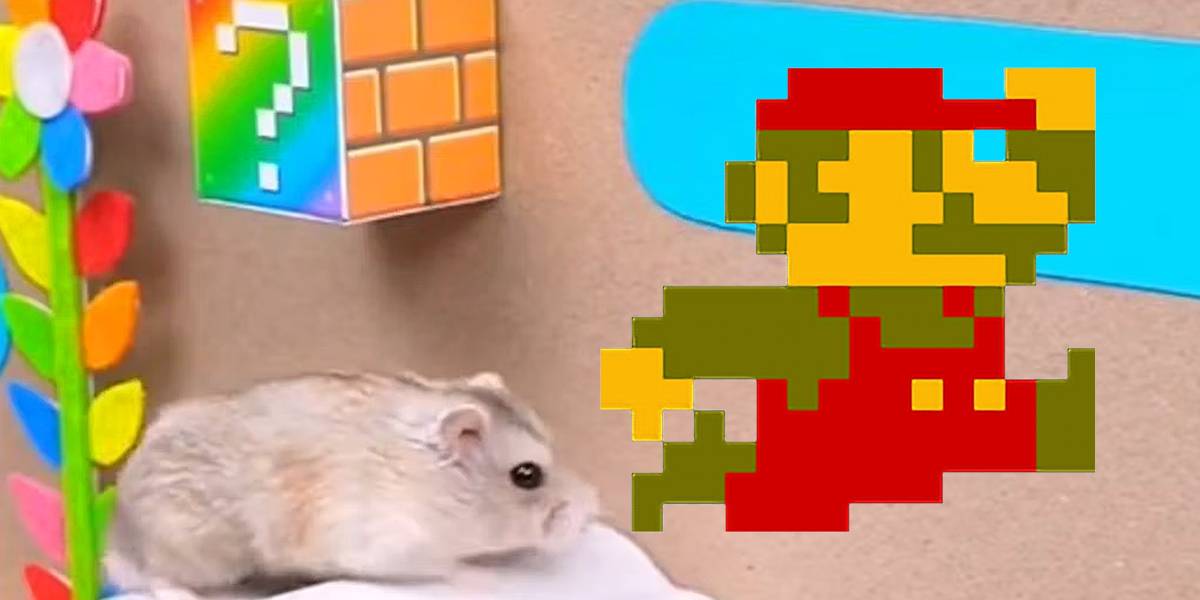 Super Mario Hamster Completes Extravagant Real-Life Maze