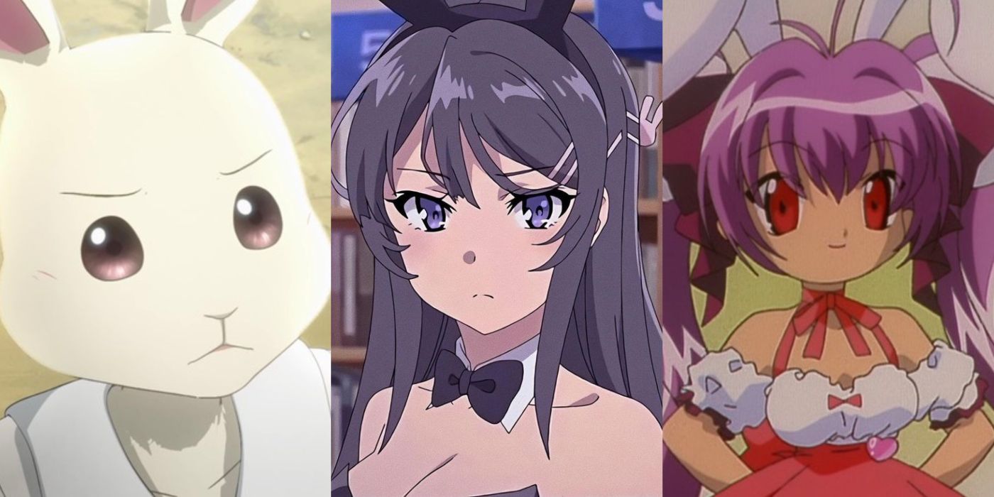 Bunny Anime