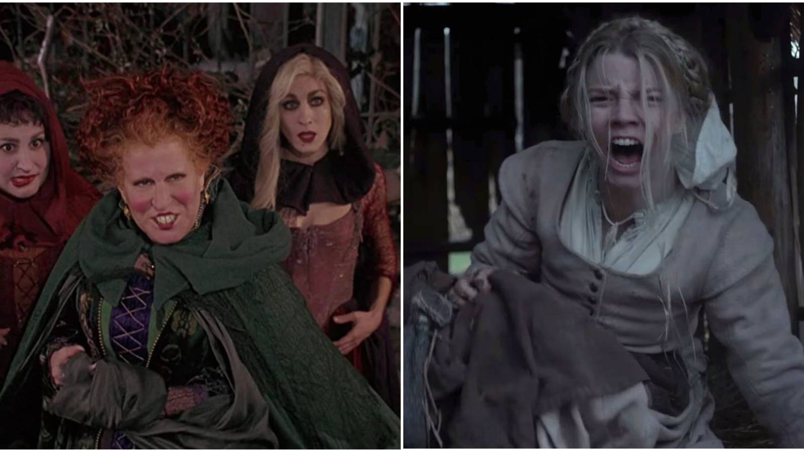 10 Best Witch Movies