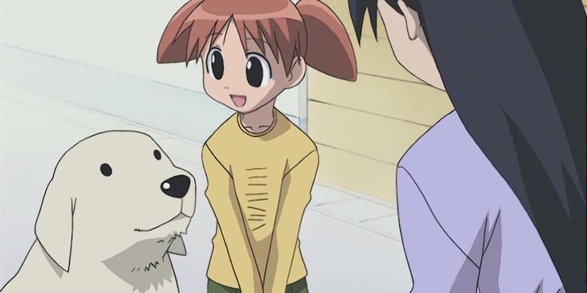 Anime Loves Great Pyrenees Dogs - Here's Where to Watch Them