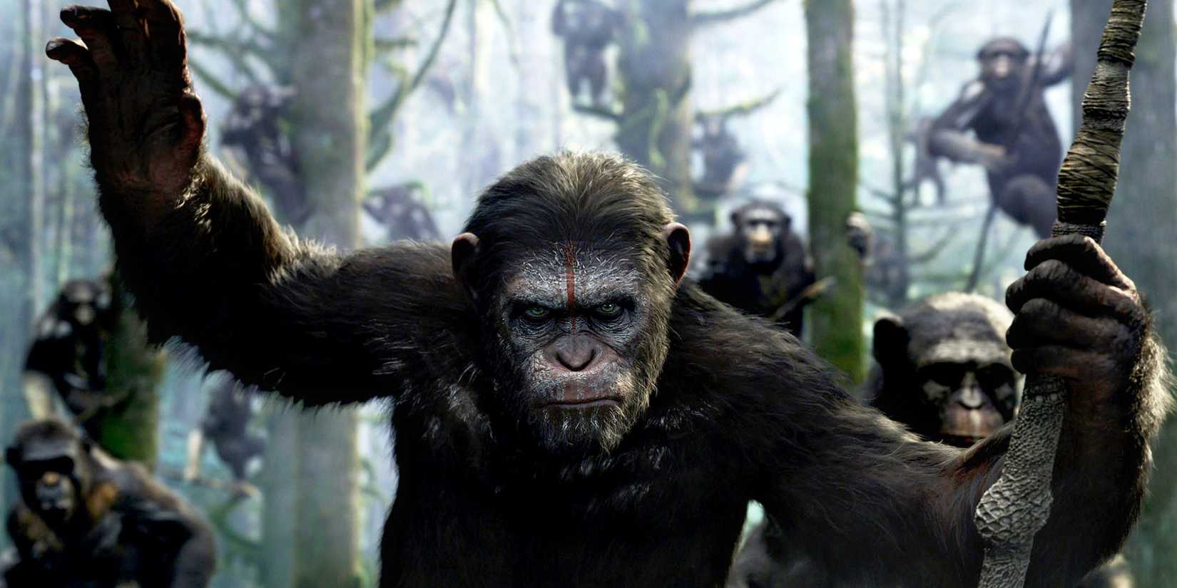 Movies With Better Battles Than The Lord Of The Rings