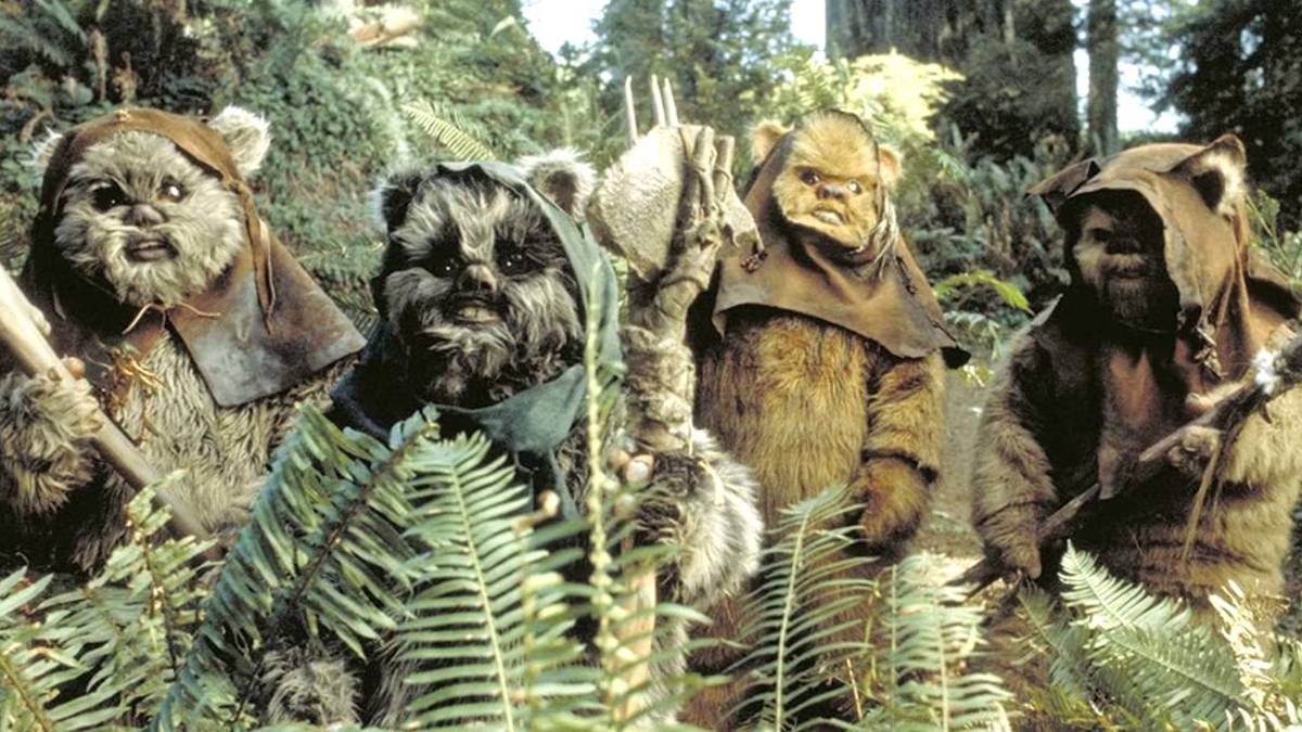 are ewoks friendly