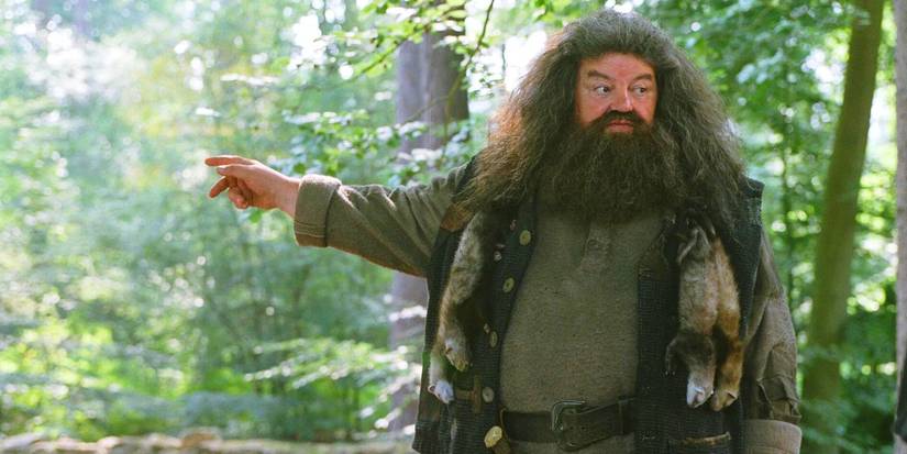 10 Major Harry Potter Scenes That Prove Hagrid Is Harry's Greatest Friend