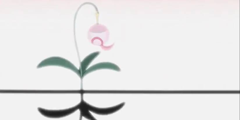 10 Weirdest Plants In One Piece, Ranked