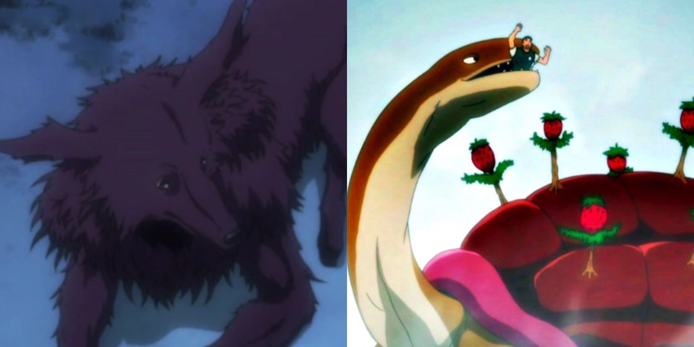 1 Hunter x Hunter Death is Secretly So Much Deeper Than You Realized ...