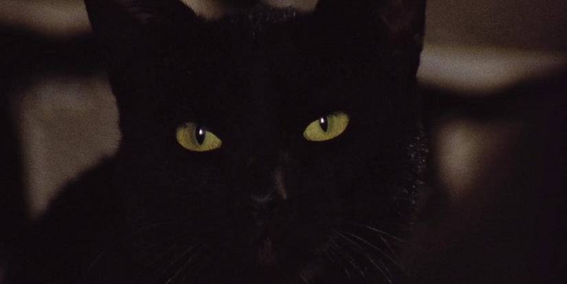 10 Best Lucio Fulci Horror Films, Ranked