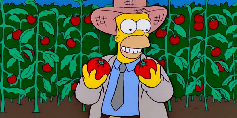 Homer's 10 Best Jobs On The Simpsons, Ranked