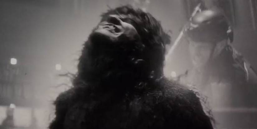 The Best Werewolf Movies and Where to Watch Them