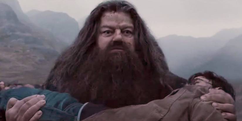 10 Major Harry Potter Scenes That Prove Hagrid Is Harry's Greatest Friend