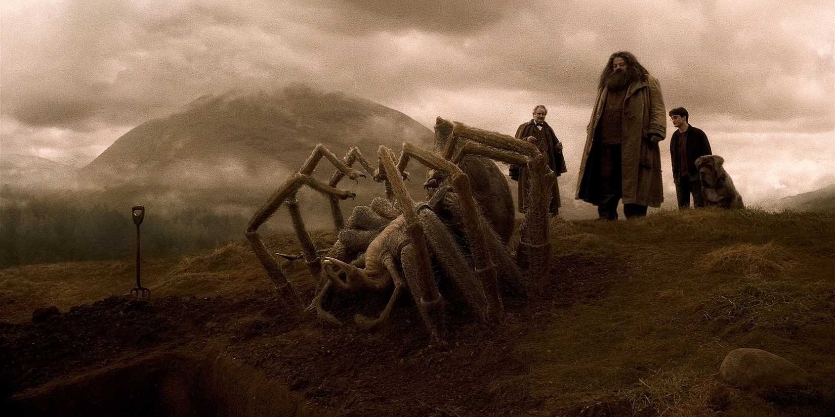 10 Questionable Things Each Main Character Did in Harry Potter