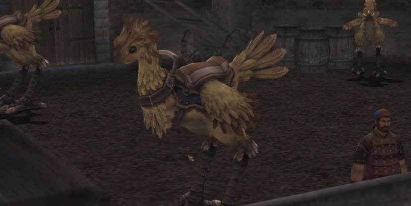 Final Fantasy XI: How to Level Up Quickly