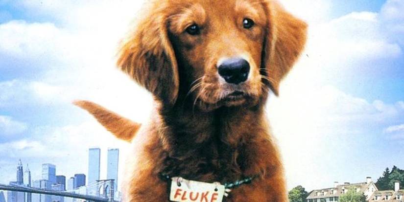 The 10 Best Animal Movies With Sad Endings