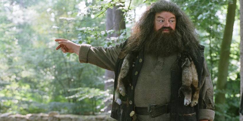 15 Best Hagrid Quotes In Harry Potter