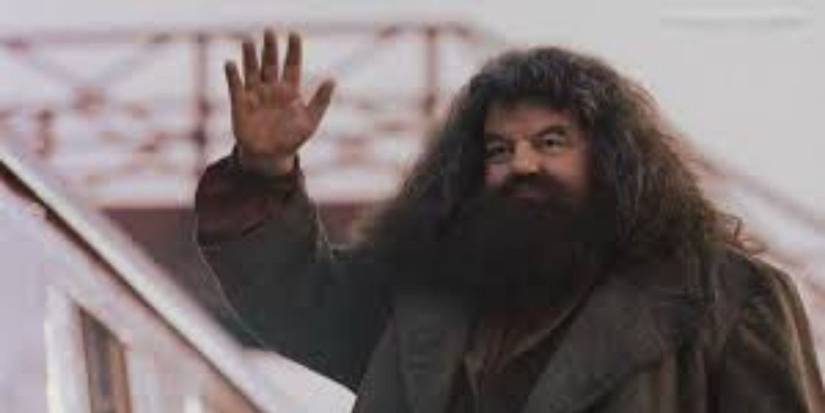 15 Best Hagrid Quotes In Harry Potter