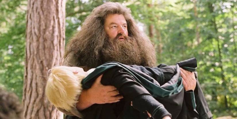 15 Best Hagrid Quotes In Harry Potter