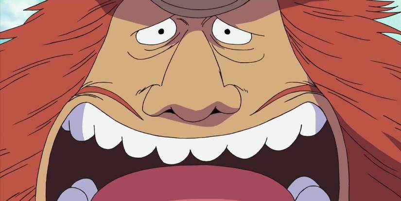 10 Oldest One Piece Heroes & Villains, Ranked