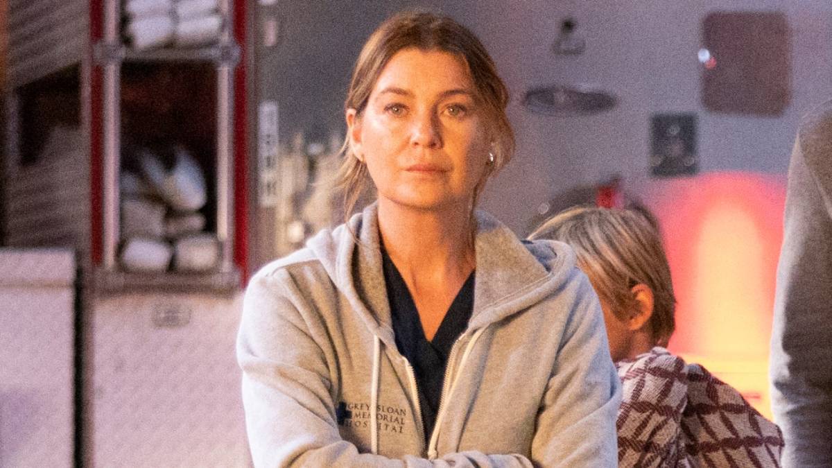 Grey's Anatomy Beaten by Beloved Animated Series as 2024's Most ...