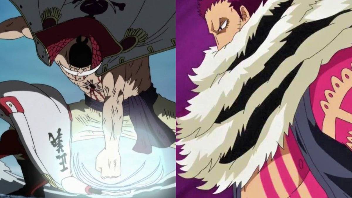 10 Most Controversial One Piece Fights, Ranked