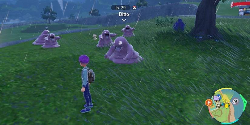 Pokémon Scarlet & Violet: How to Catch Ditto