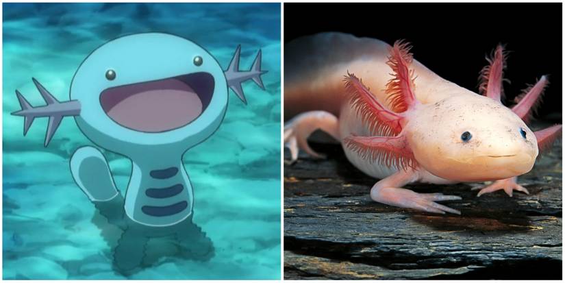 20 Pokémon That Are Basically Real Animals