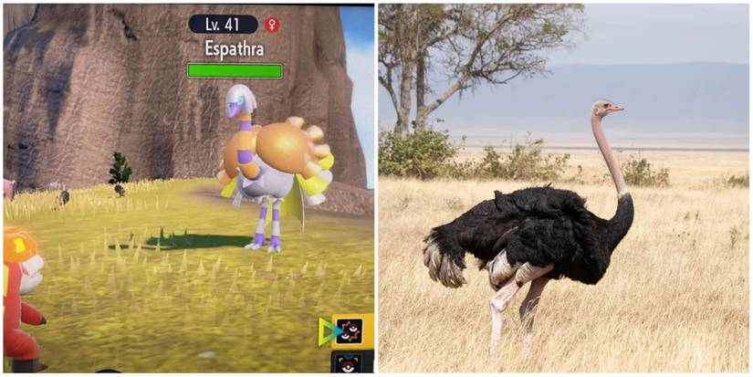 20 Pokémon That Are Basically Real Animals