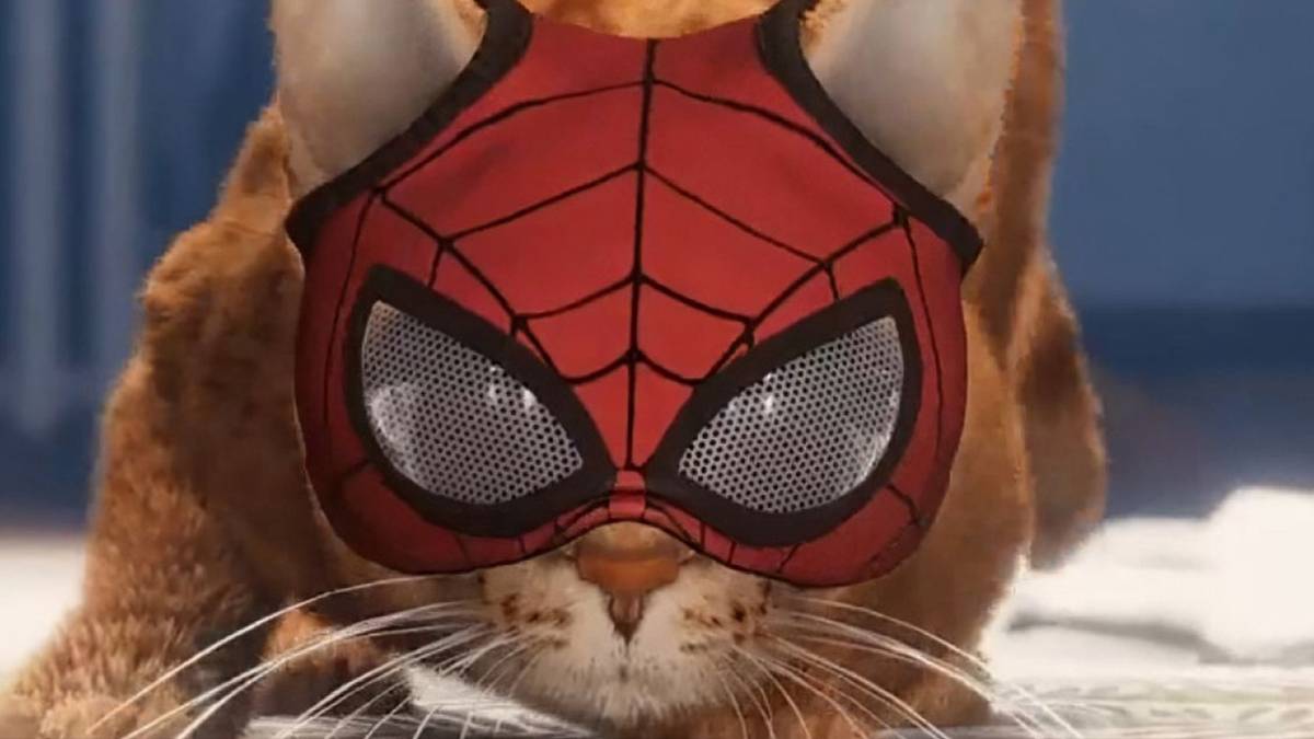 Marvel Fans Celebrate Spider-Cat's Across the Spider-Verse Debut