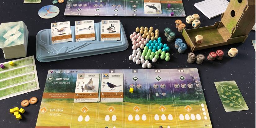 Wingspan: How to Play Solo