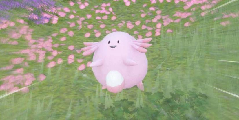 This Fan-Made Pokémon Battle Simulator Has 10 Formats That Will Make ...