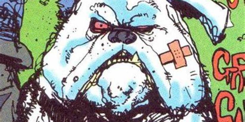 15 Loyal Superhero Pets of DC Comics