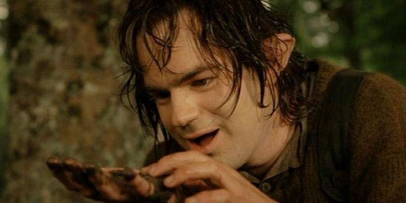 Why Didn't All of the Hobbits Go to the Undying Lands in Lord of the Rings