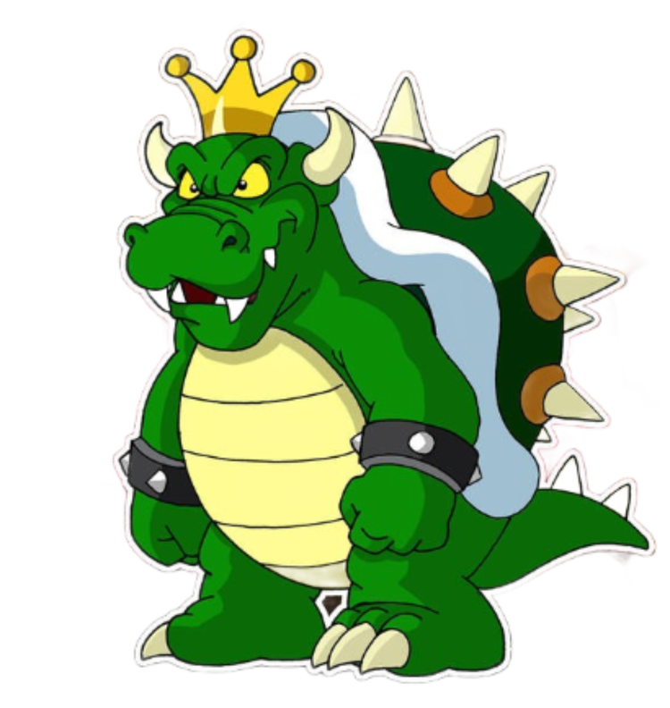 koopa bruit