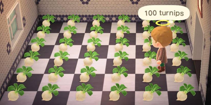 How Animal Crossing Tricked Us All Into Learning Things