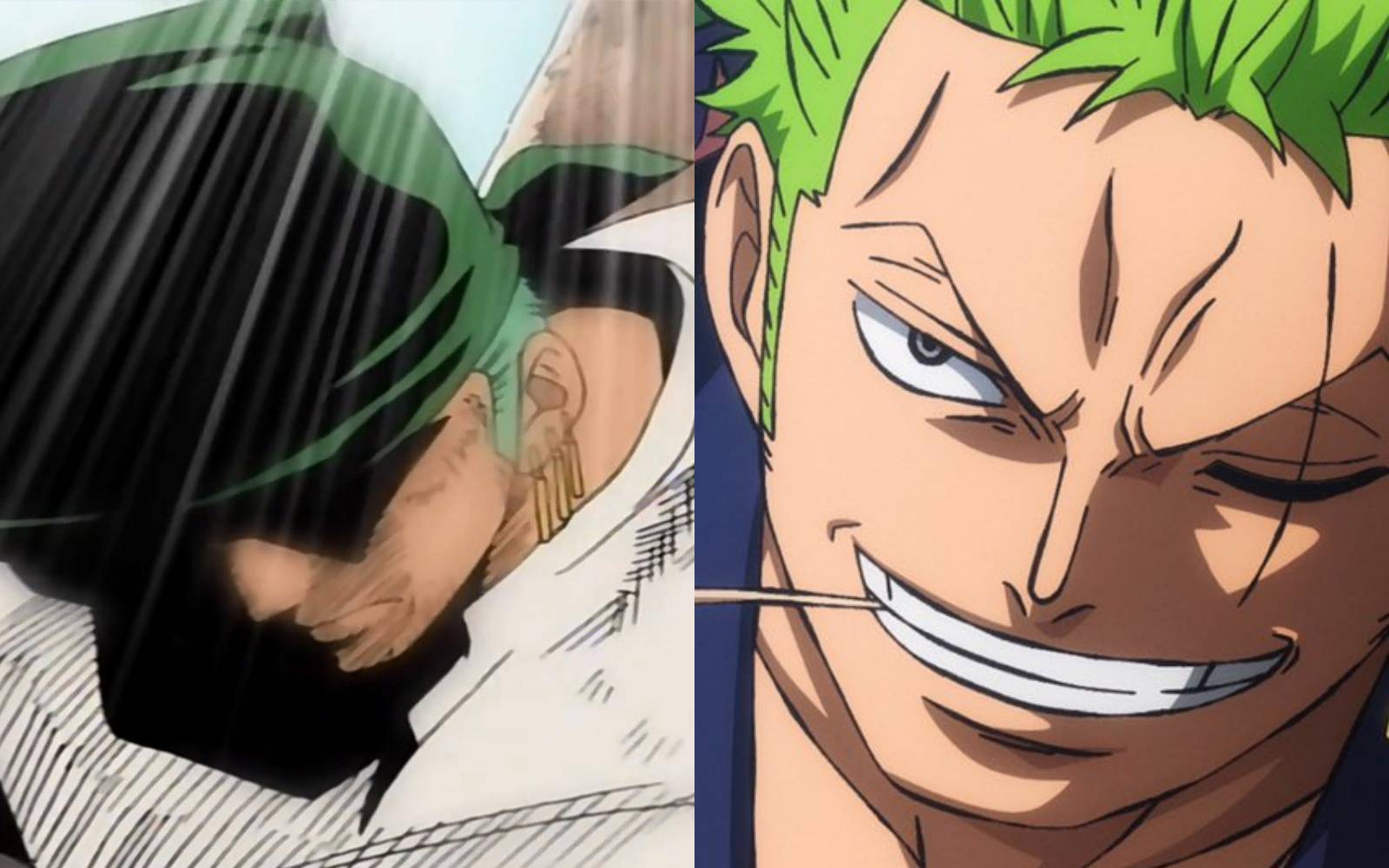 Zoro Vs Monet Quotes