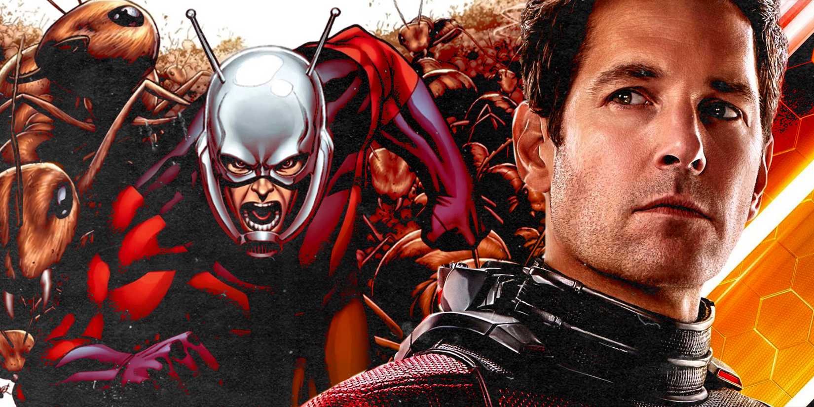 The Hero Who Might've Sparked a 1980s MCU...Ant-Man?!