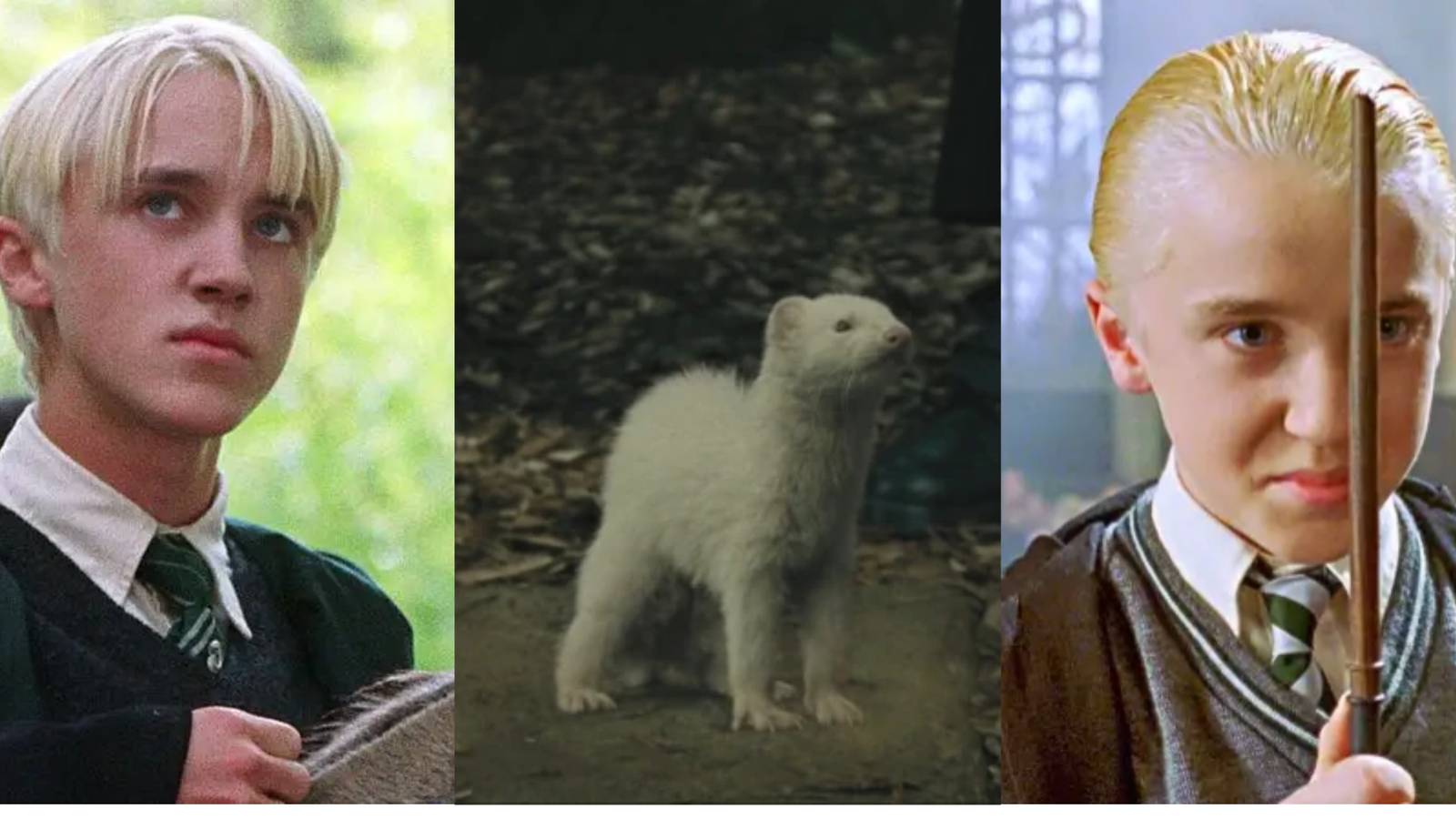 Harry Potter: 10 Memes That Perfectly Sum Up Draco Malfoy