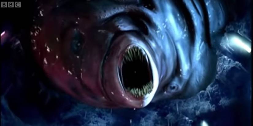10 Most Useless Doctor Who Characters (& What They Could Do Better)