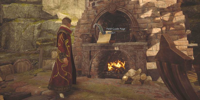 Hogwarts Legacy Field Guide Page Locations