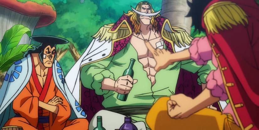Why Didn't Whitebeard Didn't Avenge Oden's Death?