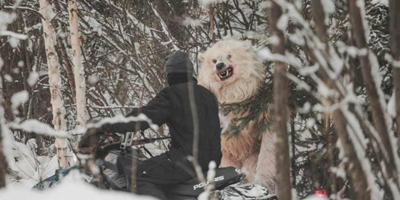 10 Scary Movies Featuring Killer Bears