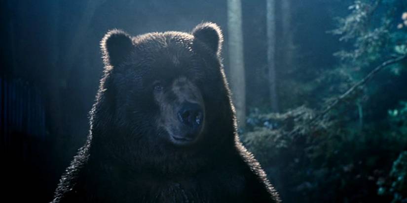 10 Scary Movies Featuring Killer Bears