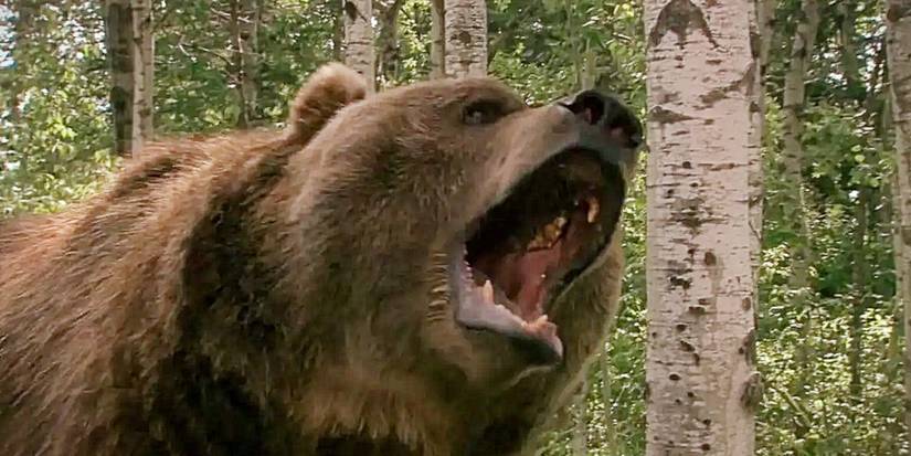 10 Scary Movies Featuring Killer Bears