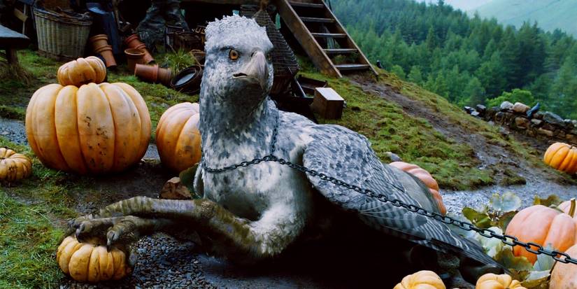 Best Harry Potter Pets
