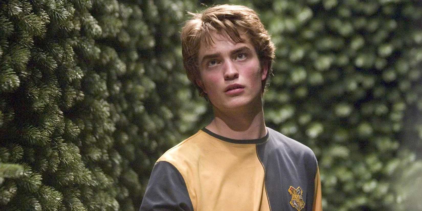 Harry Potter's Latest Casting News Officially Confirms HBO Is Making a ...