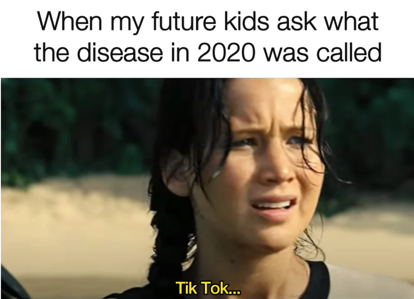 Best Hunger Games Memes