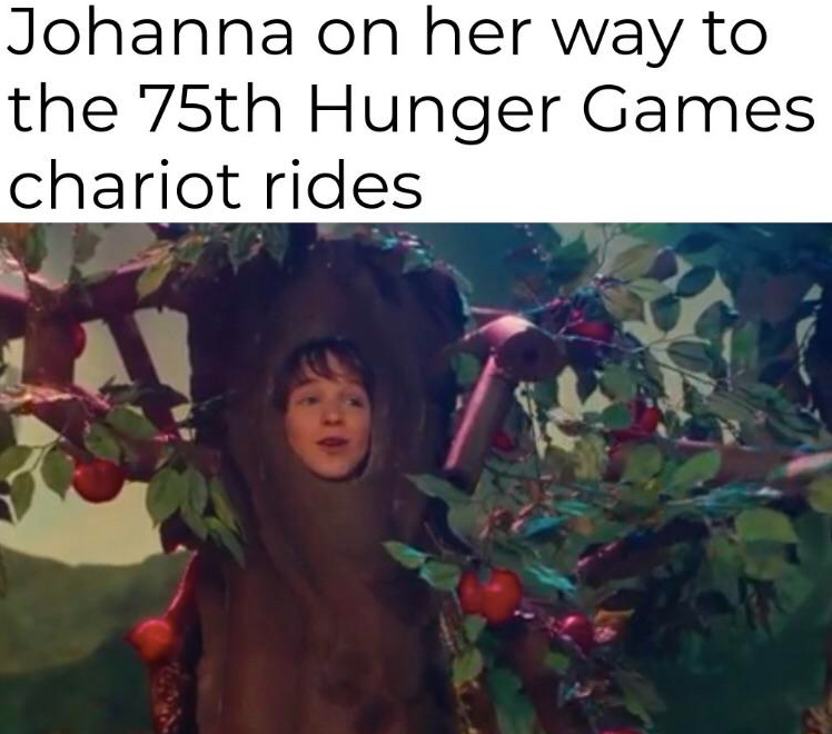 Best Hunger Games Memes