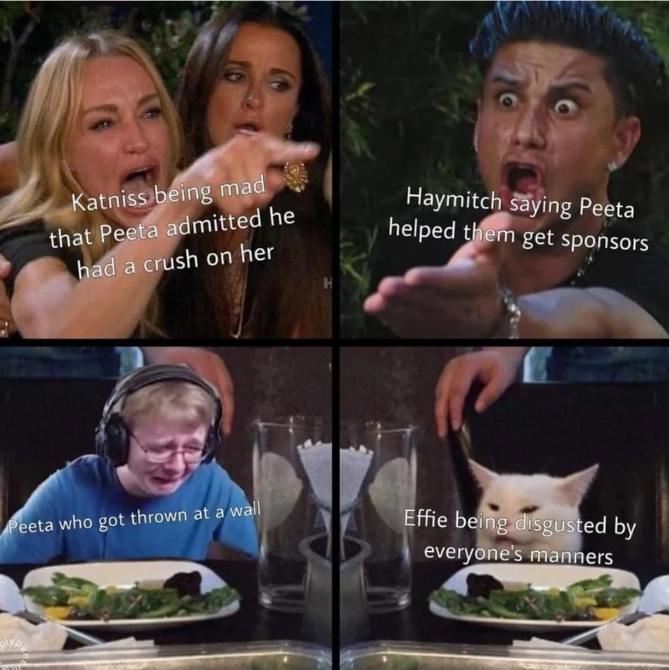 Best Hunger Games Memes