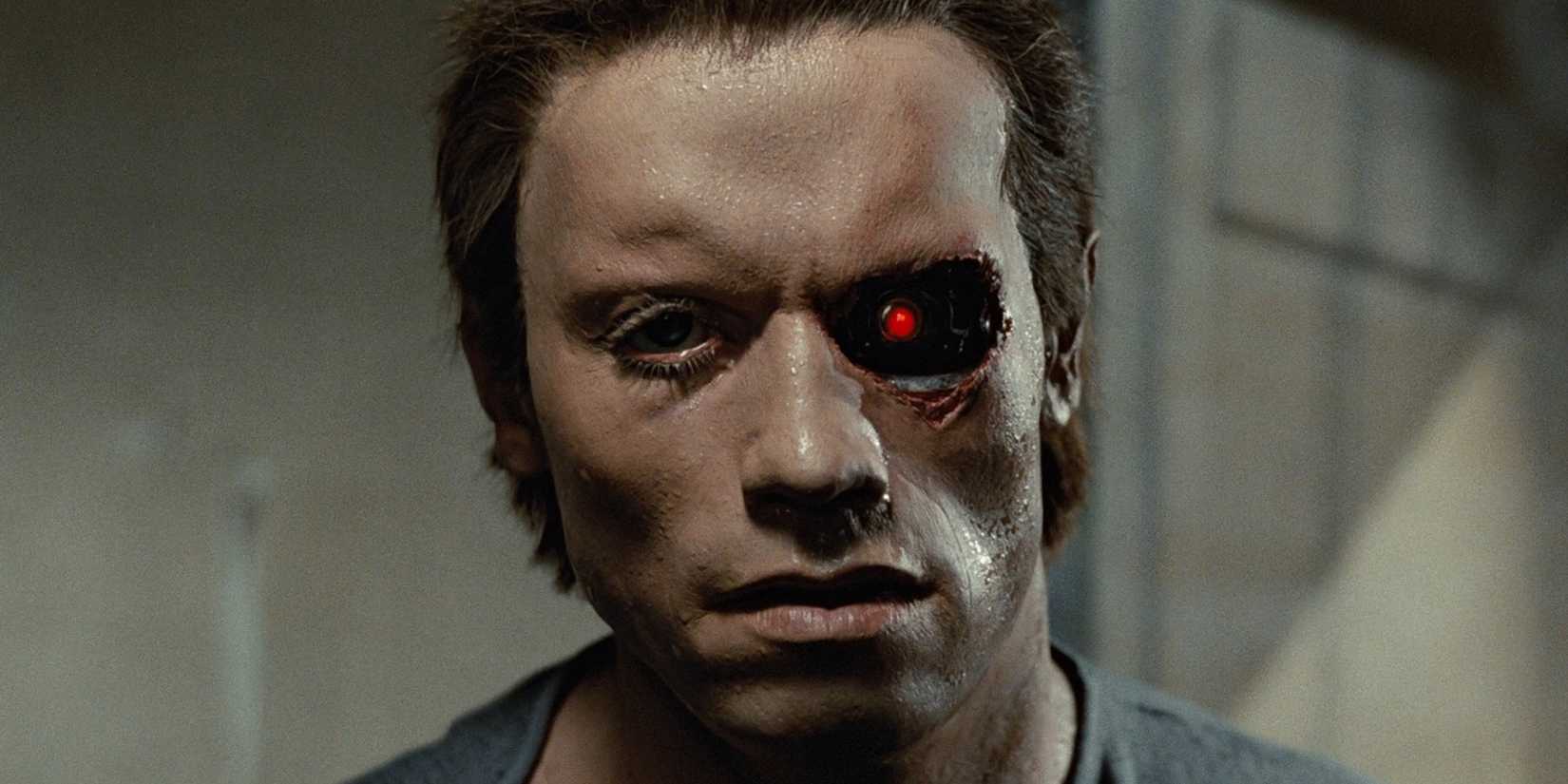 Is The Terminator a Secret Matrix Prequel? This Dark Theory Makes More ...