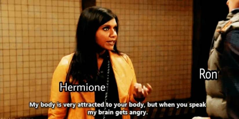 Best Ron and Hermione Harry Potter Memes