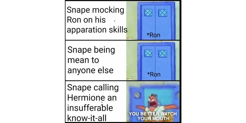 Best Ron and Hermione Harry Potter Memes